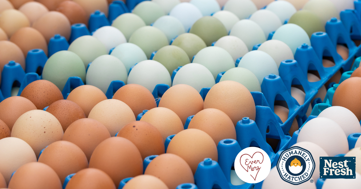 Survivors of Abuse PA Expands Sexual Abuse Resources for Survivors ...