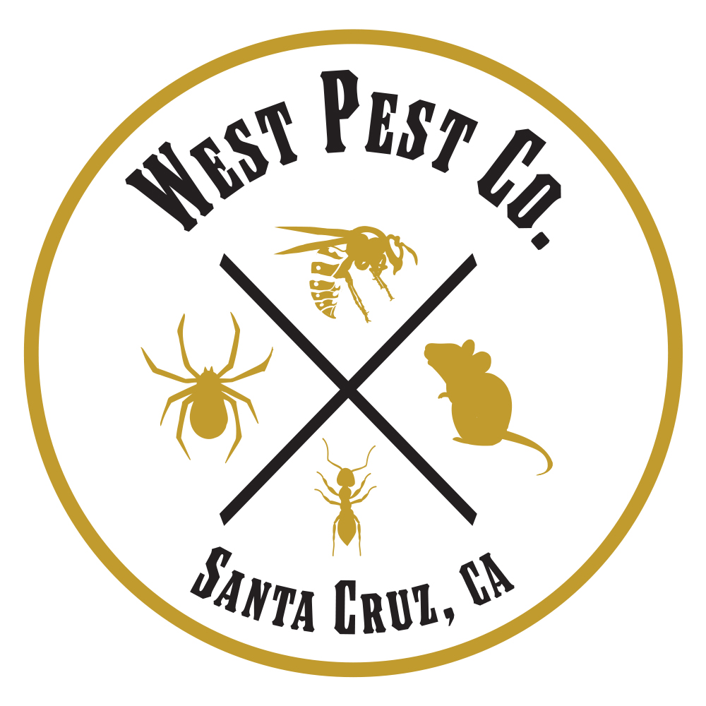 West Pest Co. Expands Local Services Amid Growing Demand for Eco ...